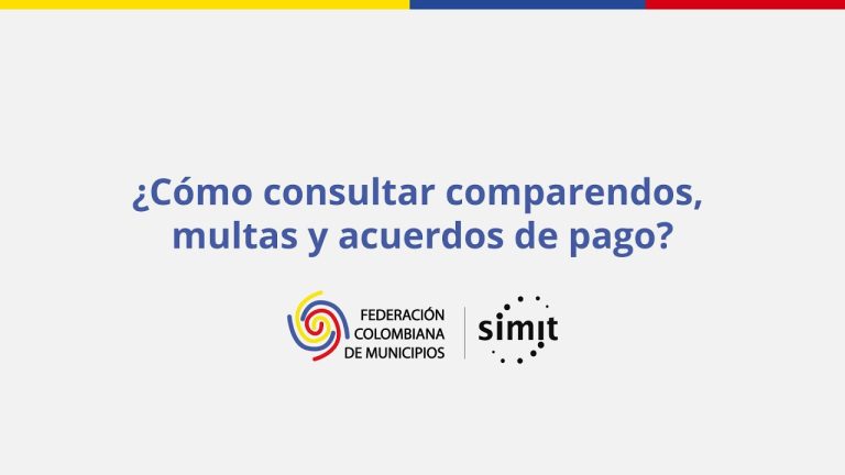 Consultas SIMIT: ¿Cómo consultar multas por Cédula o Placa?
